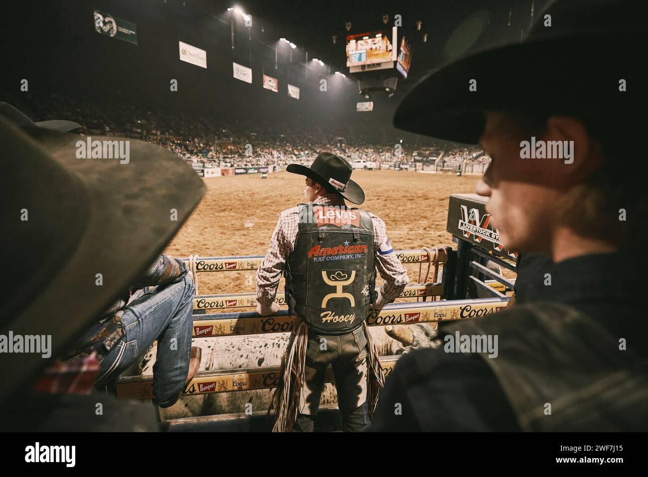 The backs of cowboys watching a rodeo Stock Photo - Alamy