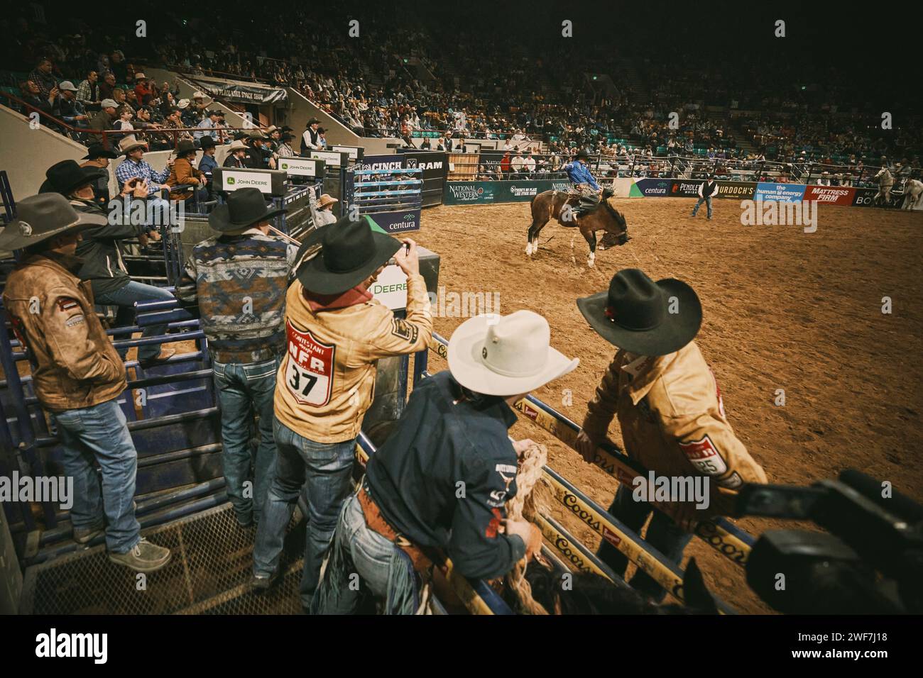 Cowboys watching a competitor in the rodeo Stock Photo - Alamy
