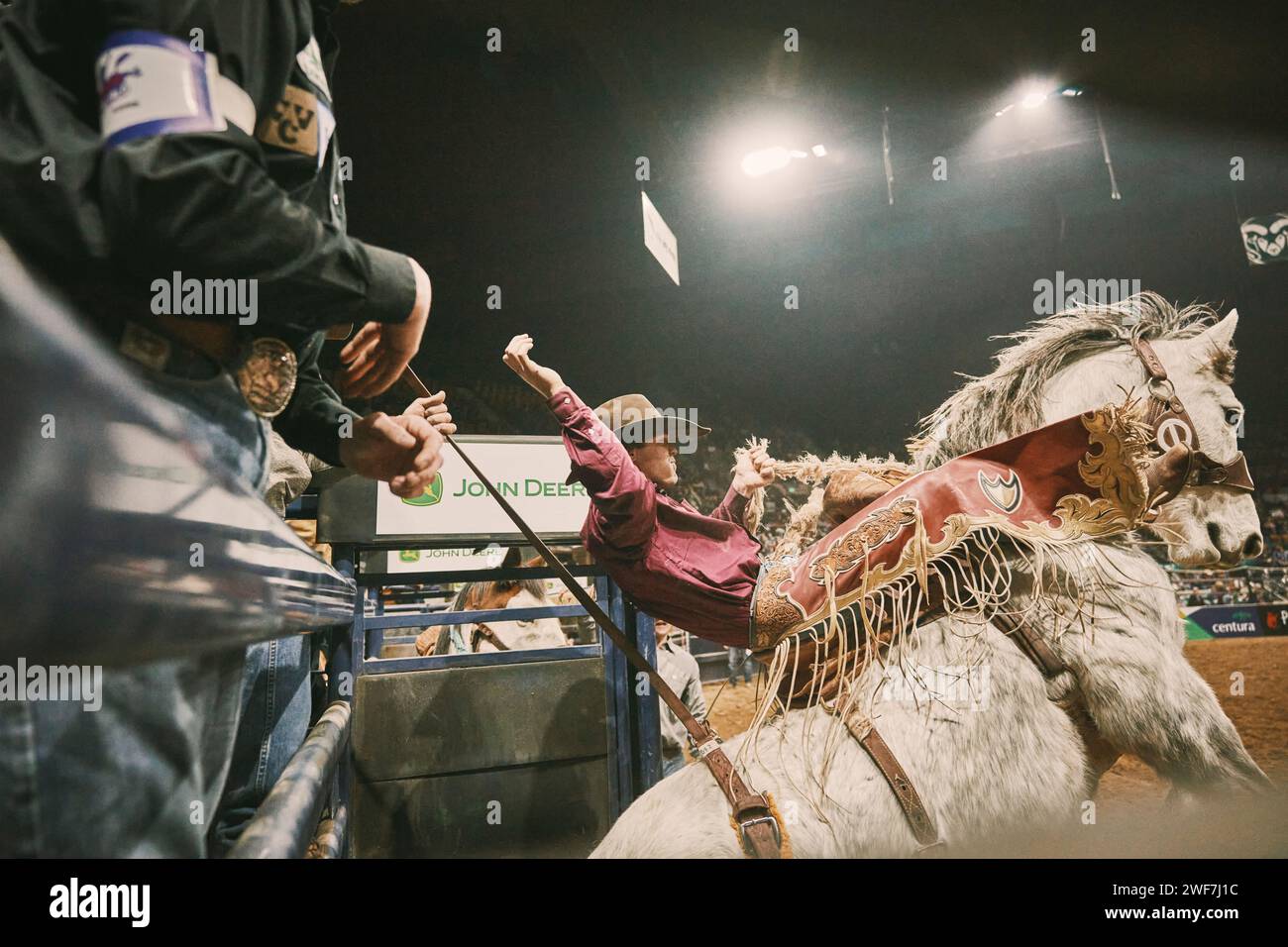 Cowboy competing in a rodeo leaving the gate Stock Photo - Alamy