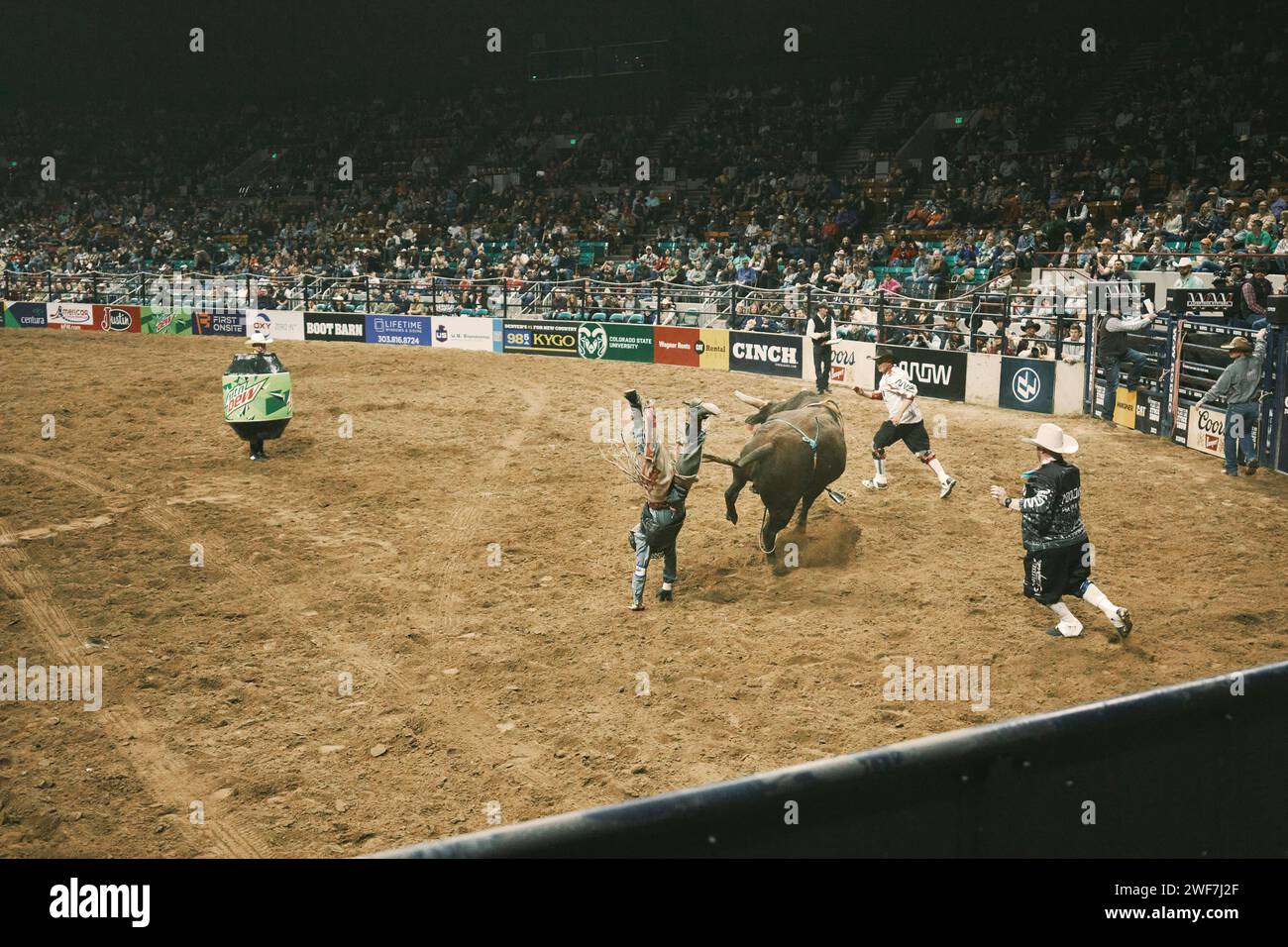 Bullfighter rodeo bull hi-res stock photography and images - Alamy
