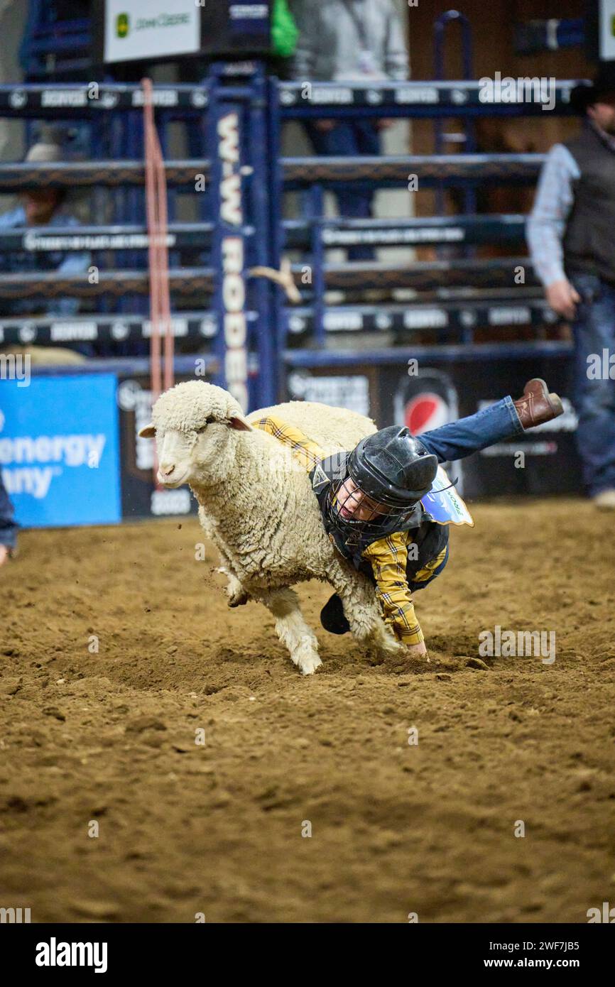 Rodeo cowboy falling off horse hi-res stock photography and images - Alamy