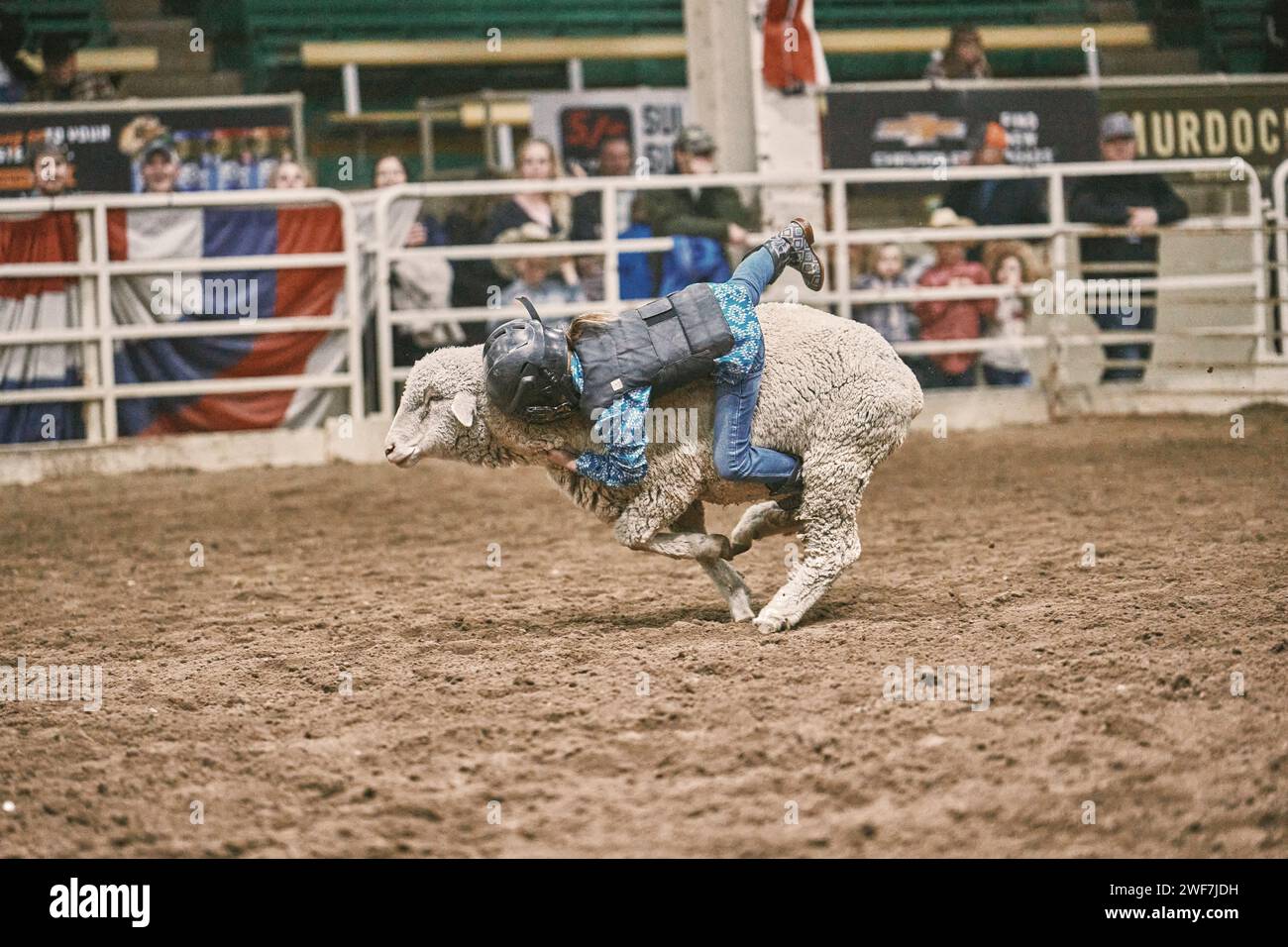 Mutton busting hi-res stock photography and images - Alamy