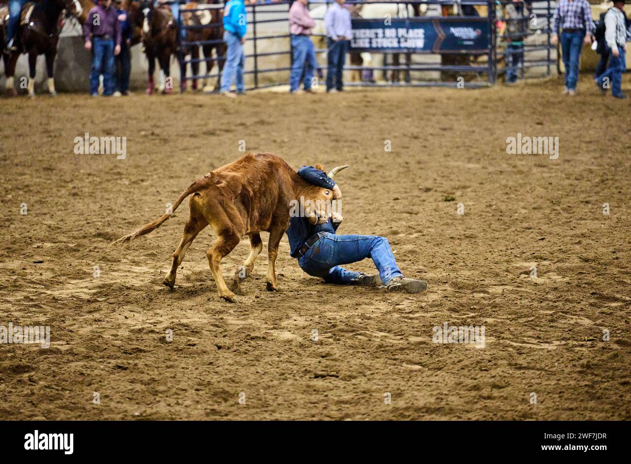 Wrestling show hi-res stock photography and images - Alamy