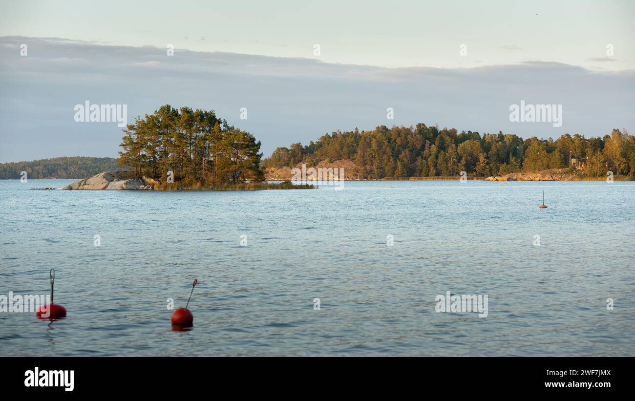Swedish Summer photo walk of the water and grass Stock Photo - Alamy