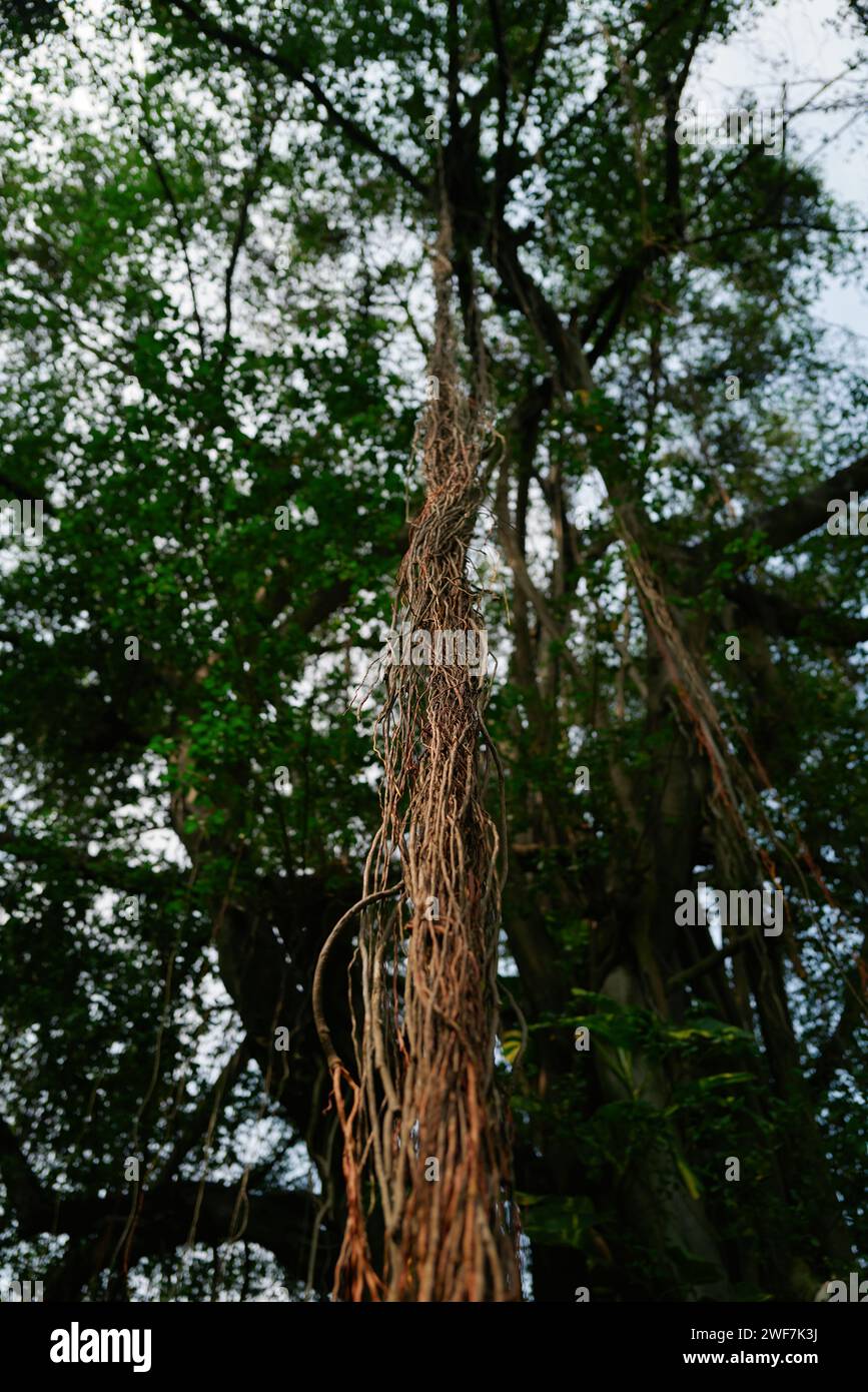 Jakarta documentary hi-res stock photography and images - Alamy