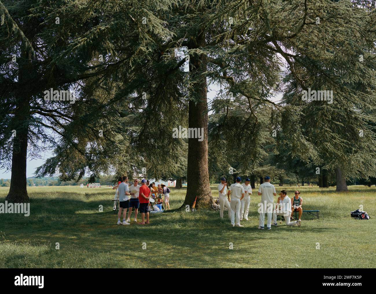 Group of cricket players having lunch Stock Photo - Alamy
