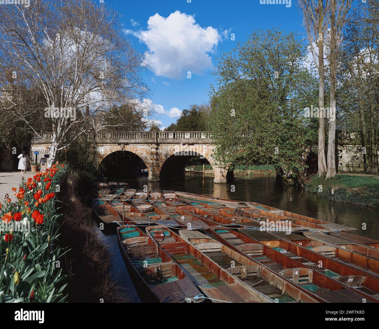 Botanical gardens oxford uk hi-res stock photography and images - Alamy