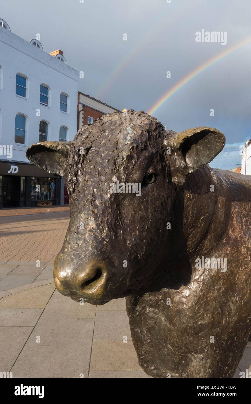 The head and shoulders of the Hereford Bull statue in High town ...