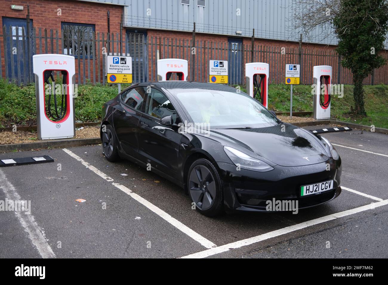 Tesla, Model,3, charging, electric,car,vehicle,EV, green,technology ...