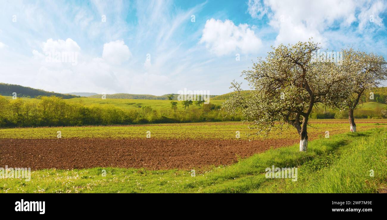 panorama of a transylvania countryside scenery with arable and apple ...