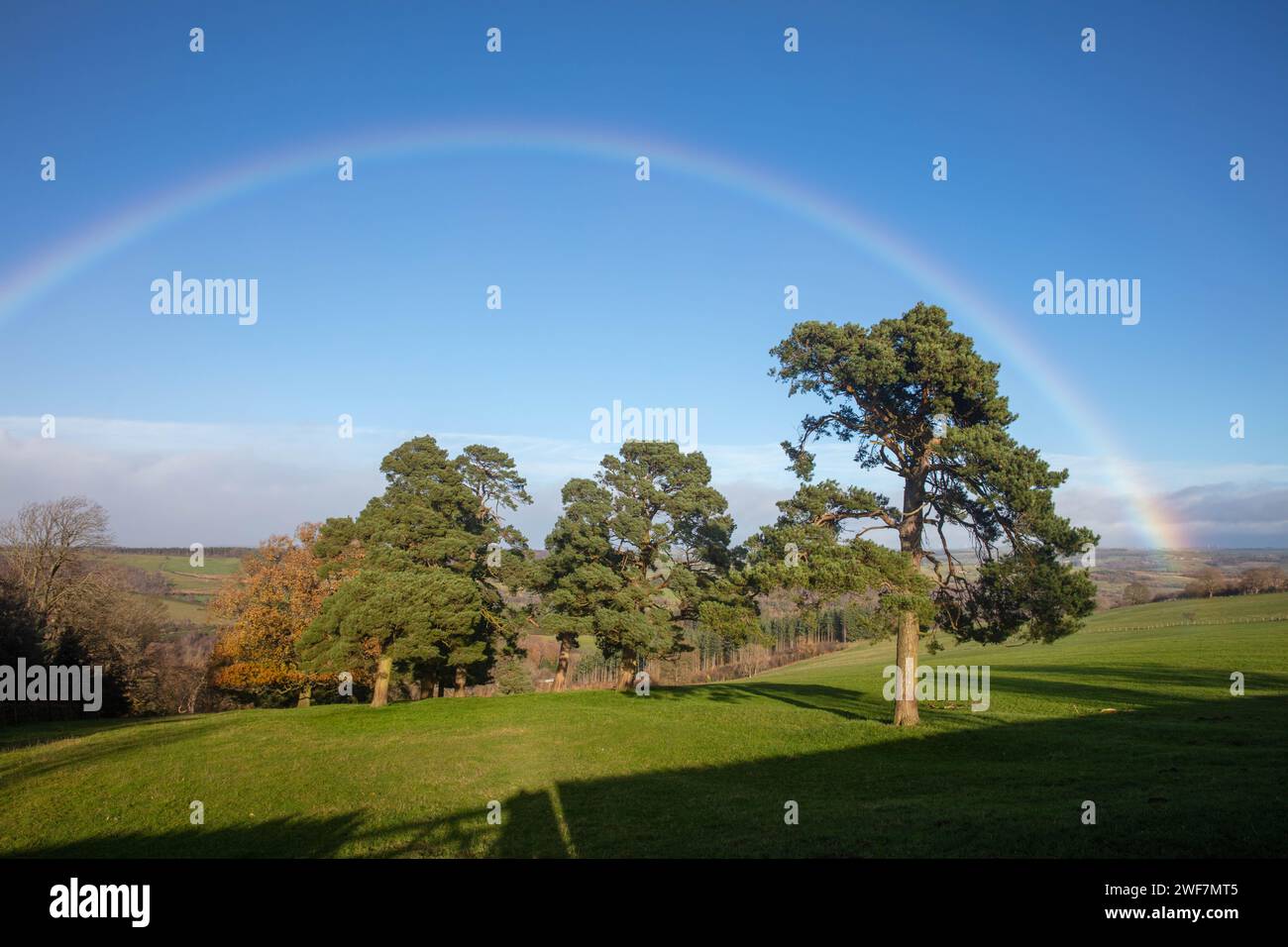 Rainbow over trees and fields near Hamsterley Forest, County Durham ...