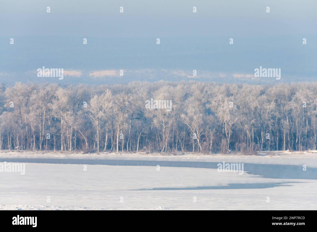 Nature A snow-covered forest after a snowfall Samara Samara region ...