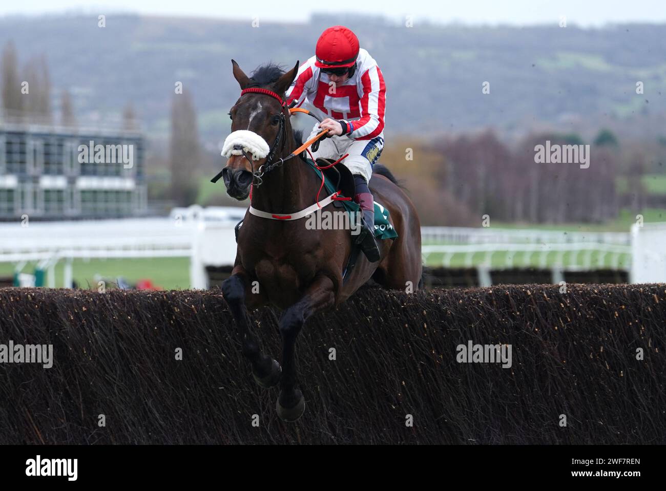 File photo dated 01-01-2023 of The Real Whacker. Patrick Neville is not ...