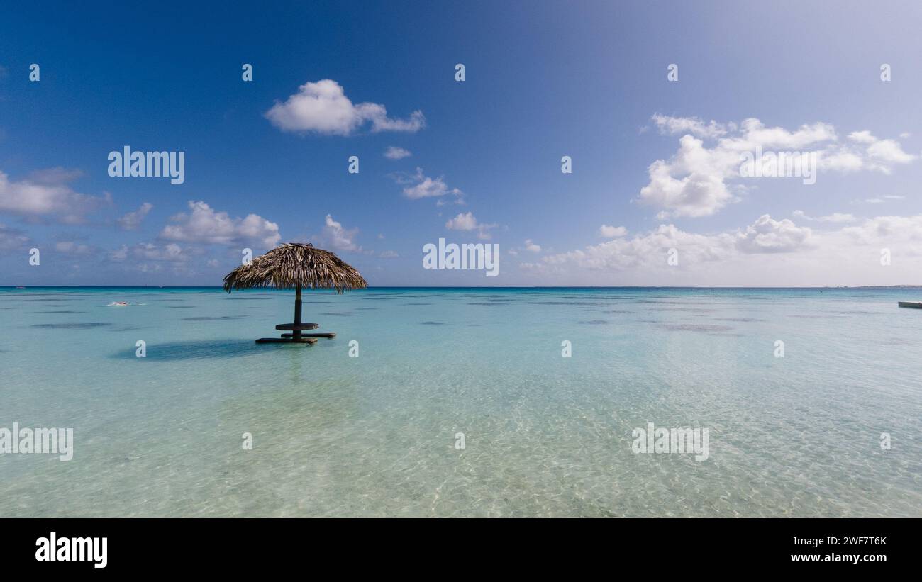 Umbrella Table in Fakarava Lagoon, French Polynesia Stock Photo - Alamy