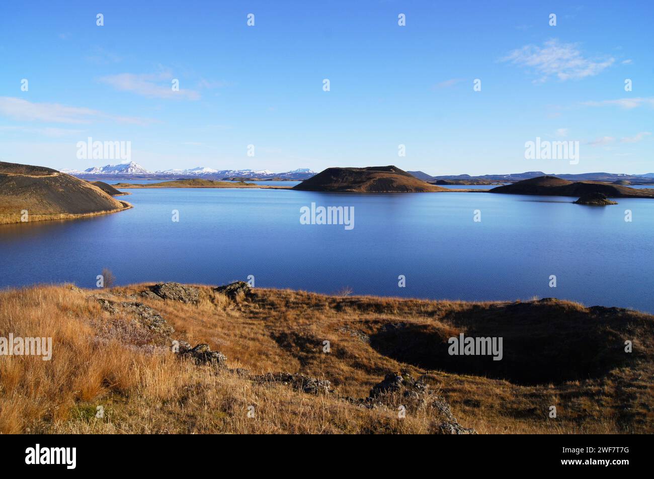 Cones and Craters. Skutustadir, Lake Myvatn, Northern Iceland Stock ...