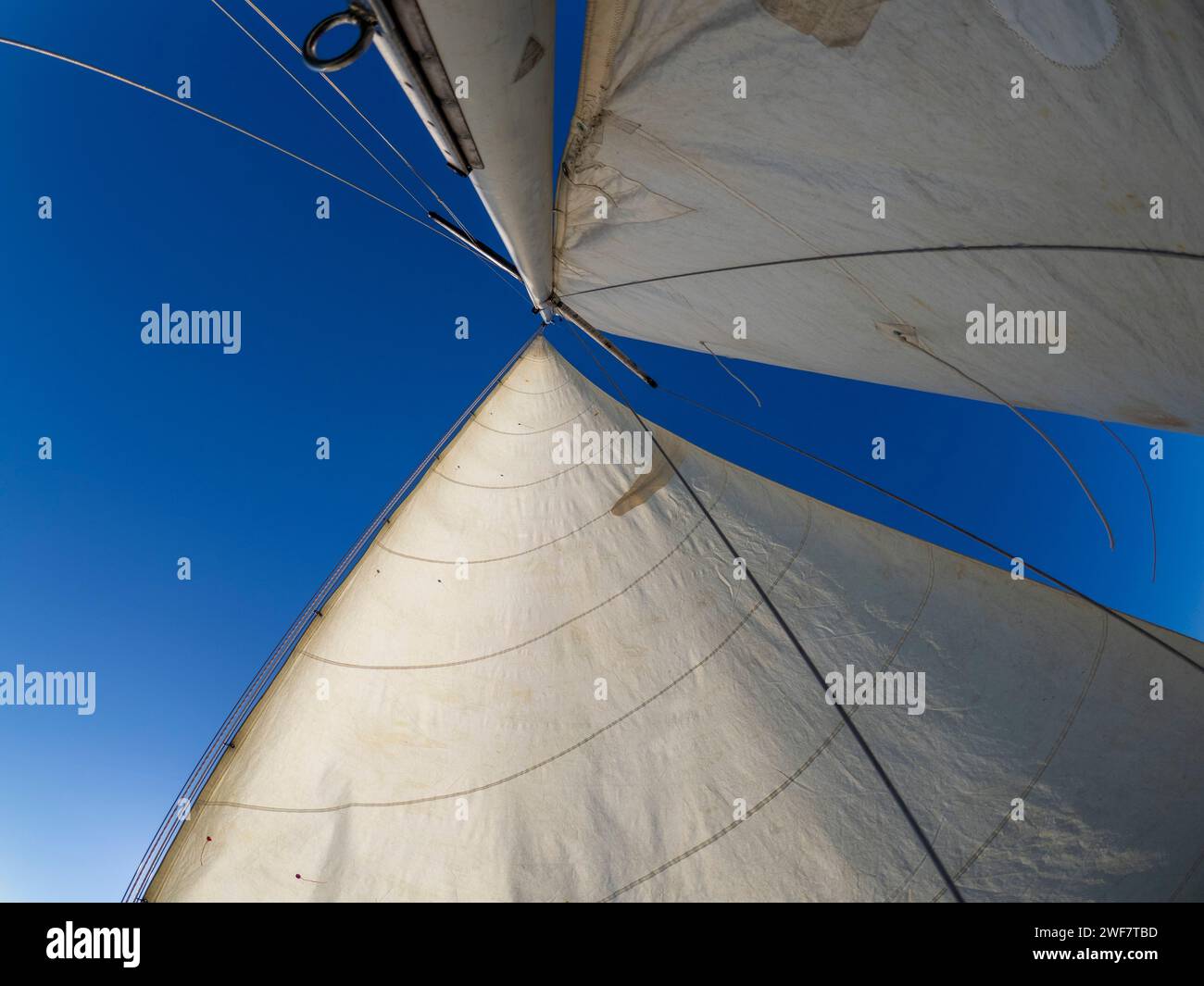 The old sails of sailboat view from the bottom with fisheye Stock Photo ...