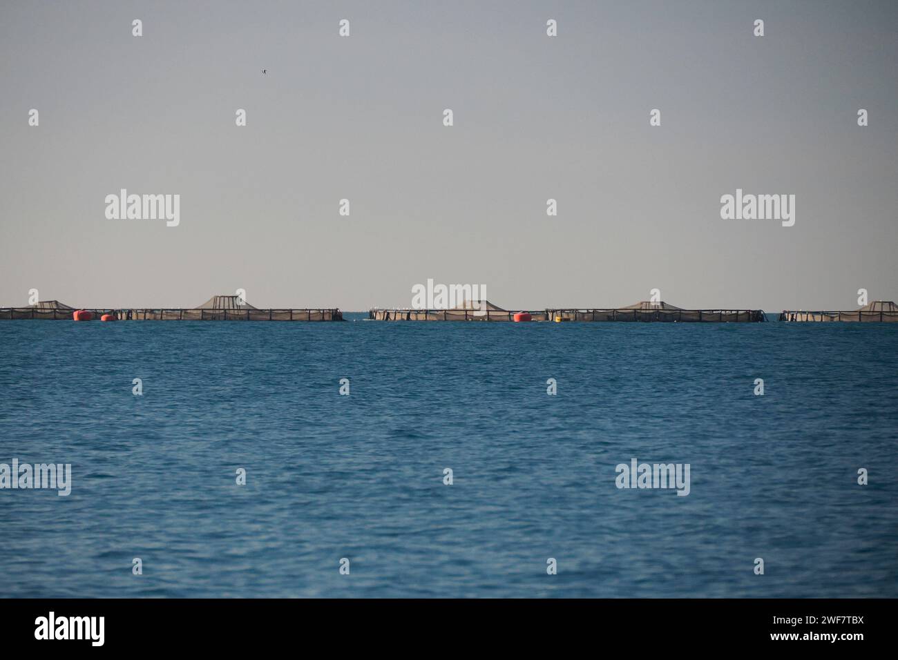Small fish farm in ligurian mediterranean breeding sea bream at sea ...