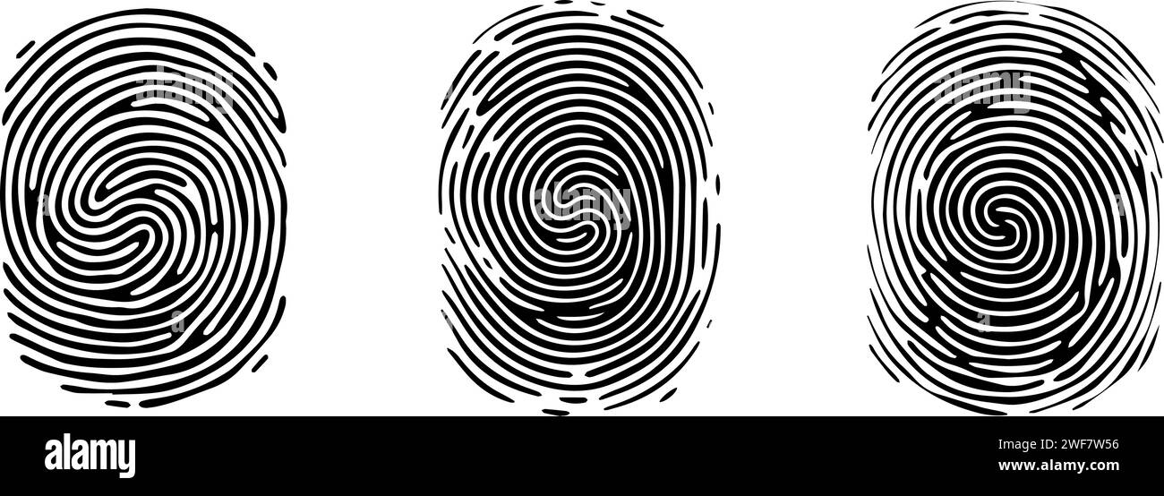 Set of Fingerprint patterns, clear lines and swirls. Human thumbprint ...