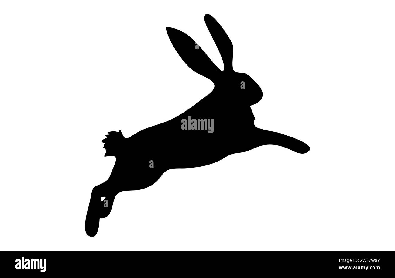 Jumping Rabbit silhouette. Easter Bunny. Isolated on white background ...