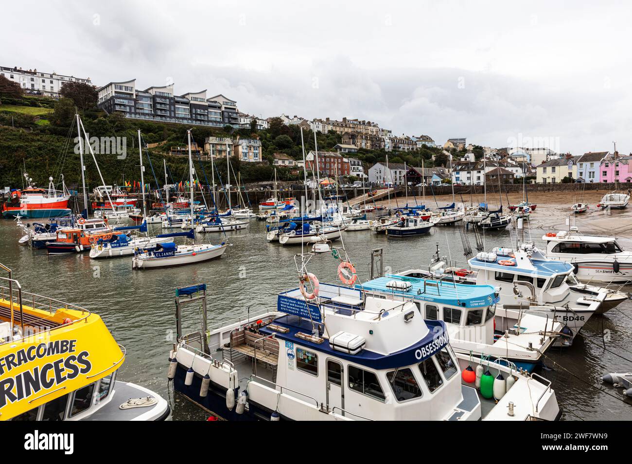 Devon harbour hi-res stock photography and images - Alamy