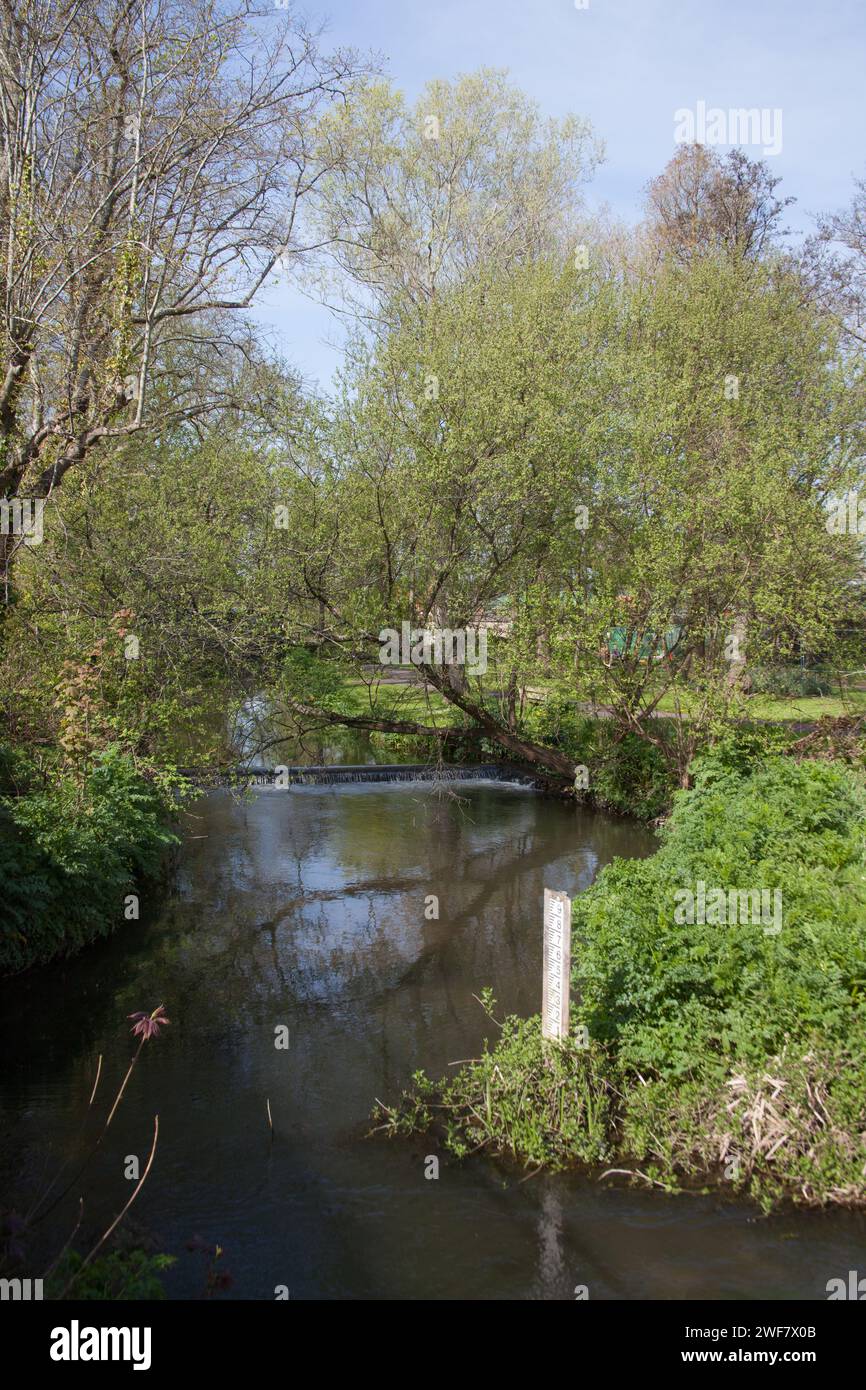Views of the River Avon at Ringwood, Hampshire in the United Kingdom ...