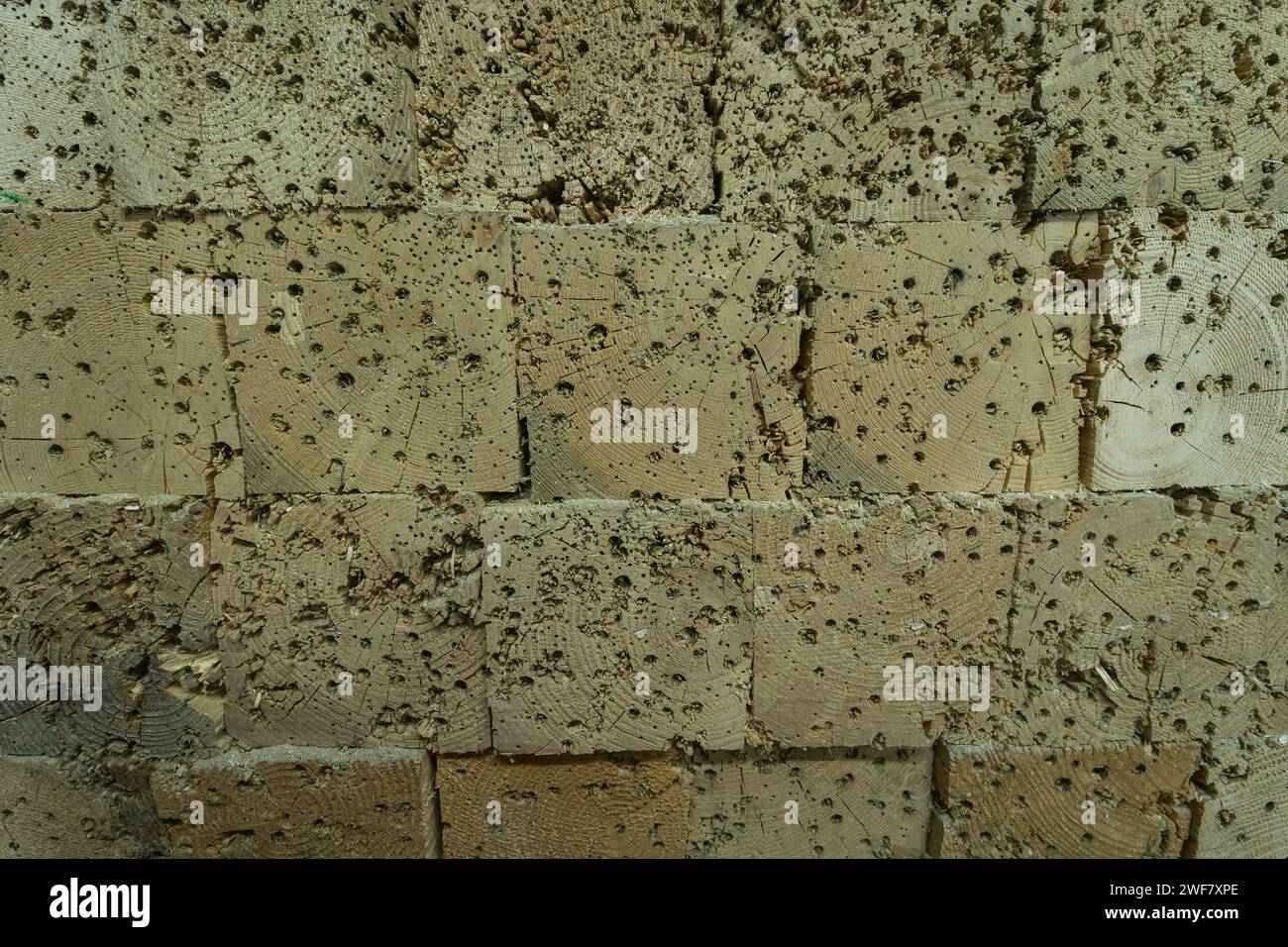 Photo texture of a shooting range, a wooden wall, a bullet trap with ...