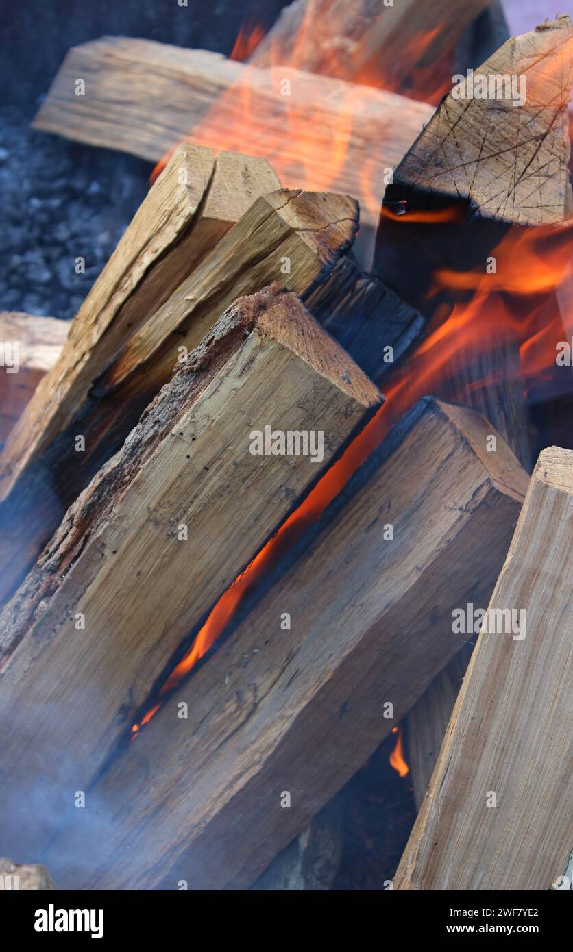 Large chopped oak logs begin to burn in a fire closeup view Stock Photo ...
