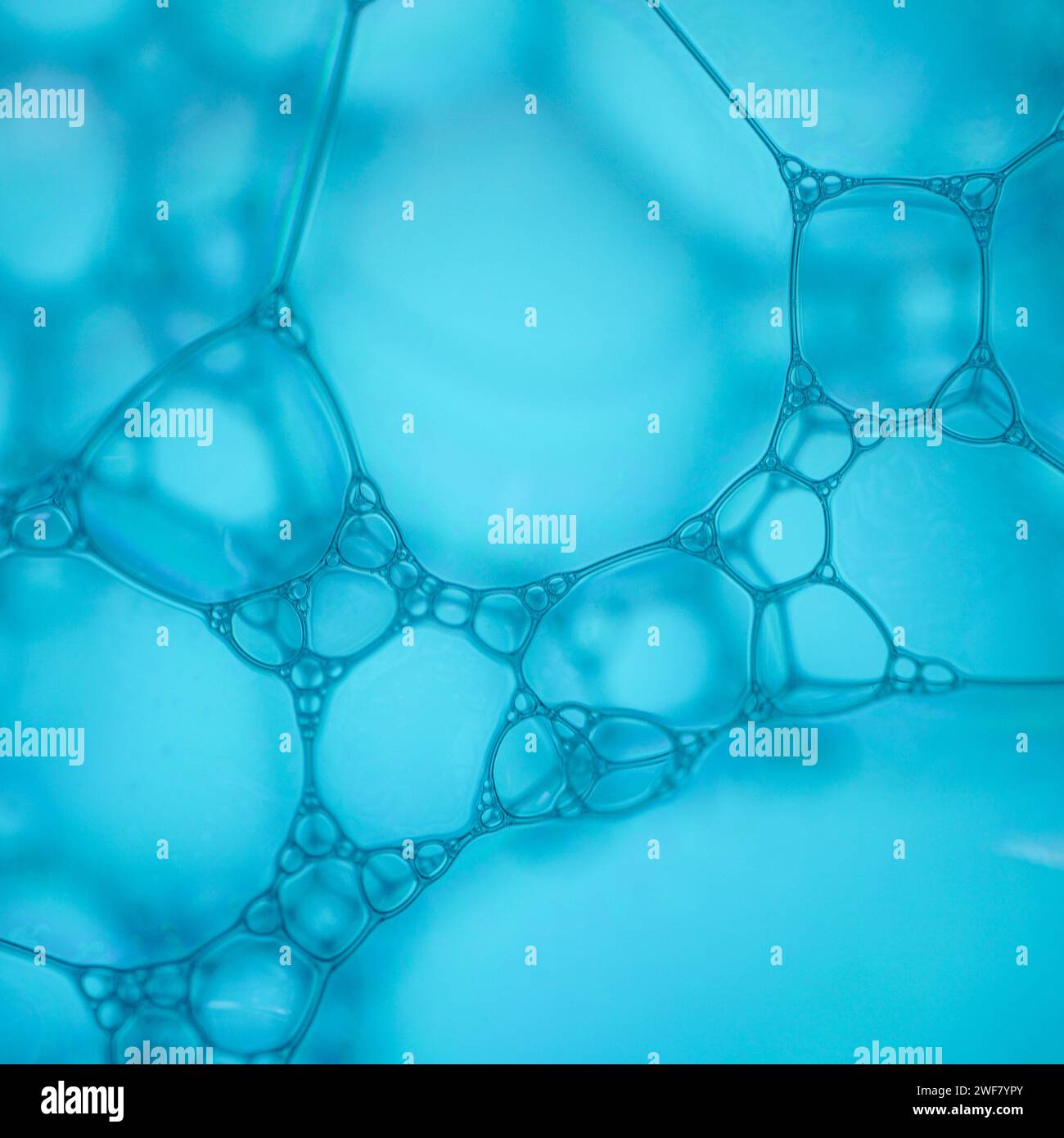 Transparent background blue bubbles hi-res stock photography and images ...