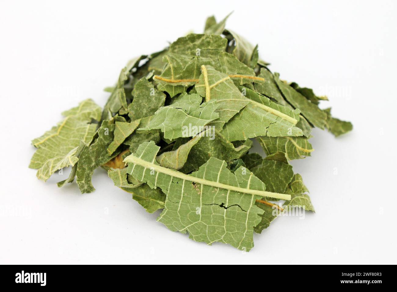 Dried fig leaves on white background. Studio shot Stock Photo - Alamy