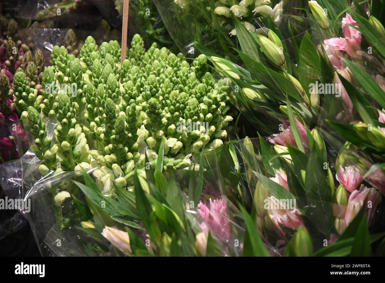 Copenhagen, Denmark /29 January 2024/Flower bouquesrs for sale in ...