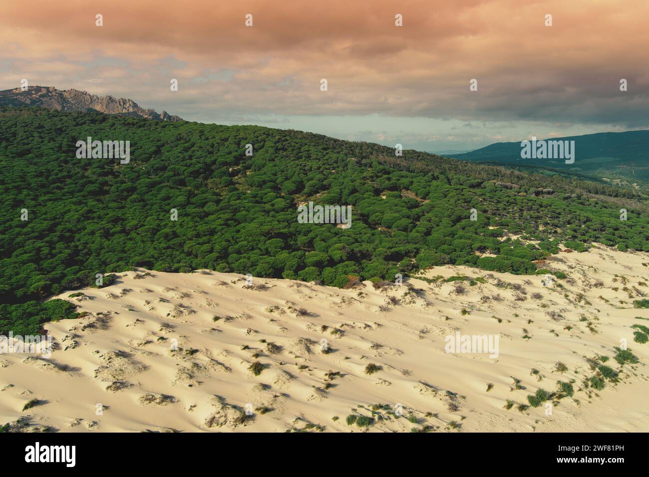 Bolonia dune beach hi-res stock photography and images - Alamy