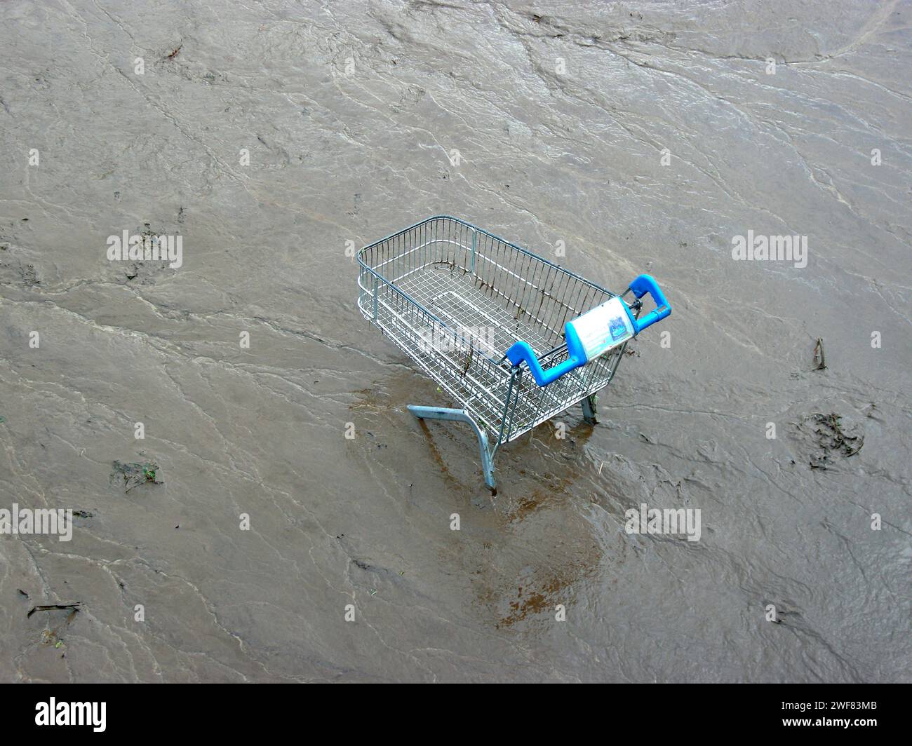 Abandoned supermarket shopping trolley in the mud of a river Stock ...