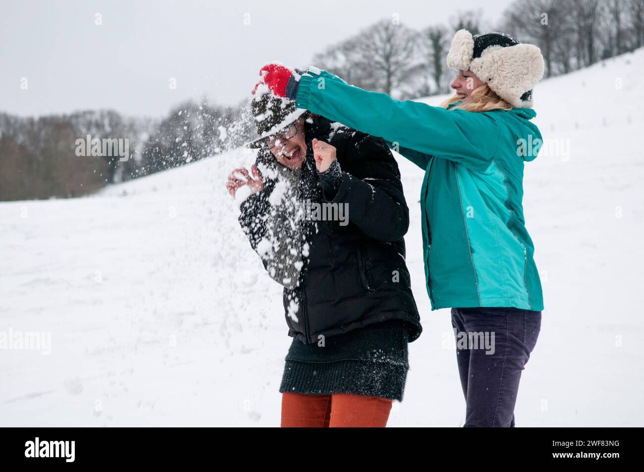 A family play snowball fights in a snowy winter landscape Stock Photo ...