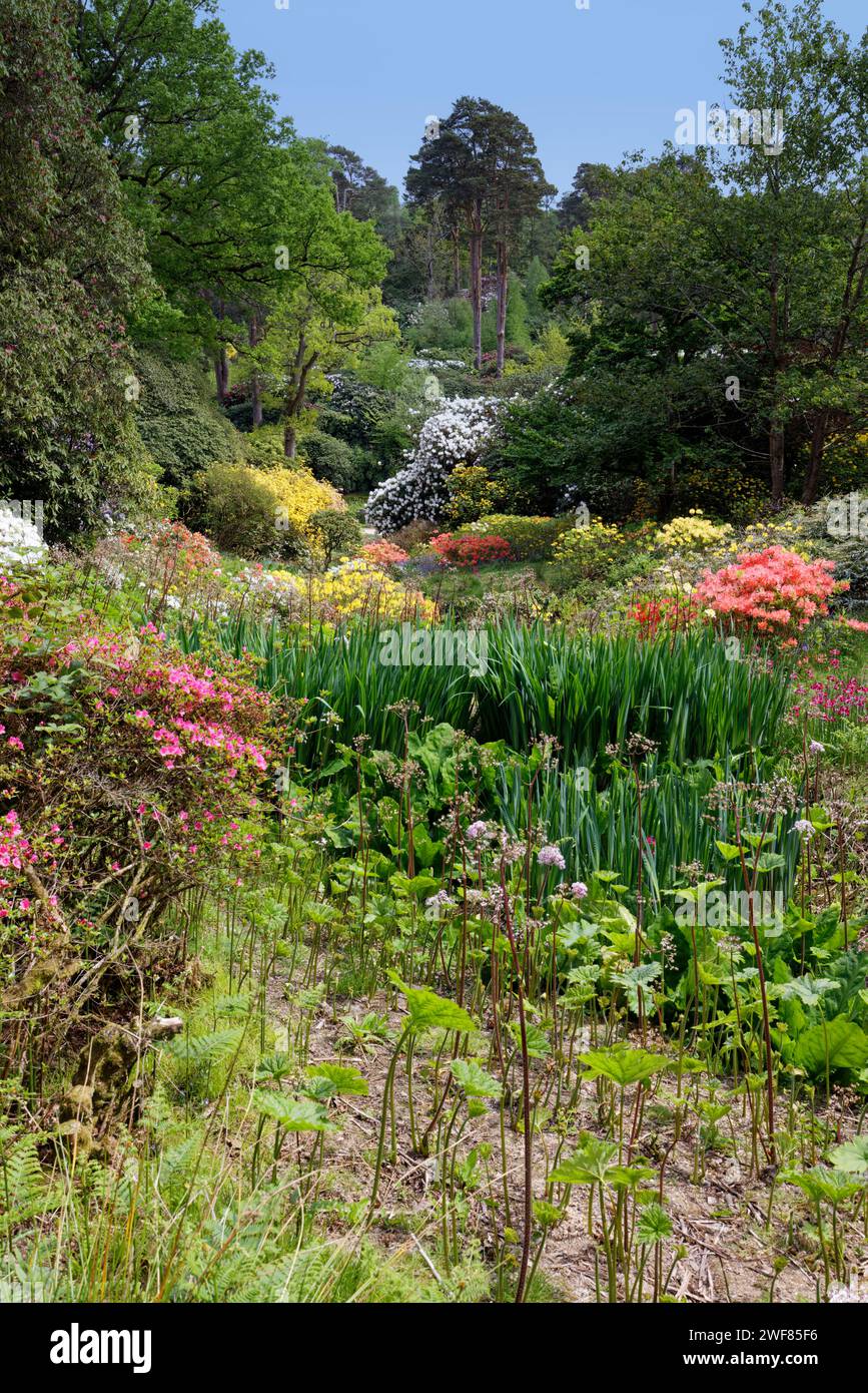 English country garden Stock Photo - Alamy