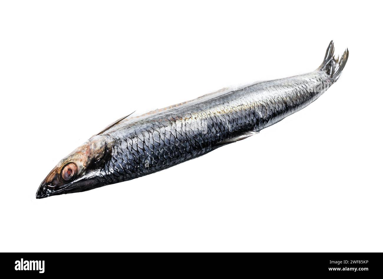 Pickled whole Nordic herring. Isolated on white background. Top view ...