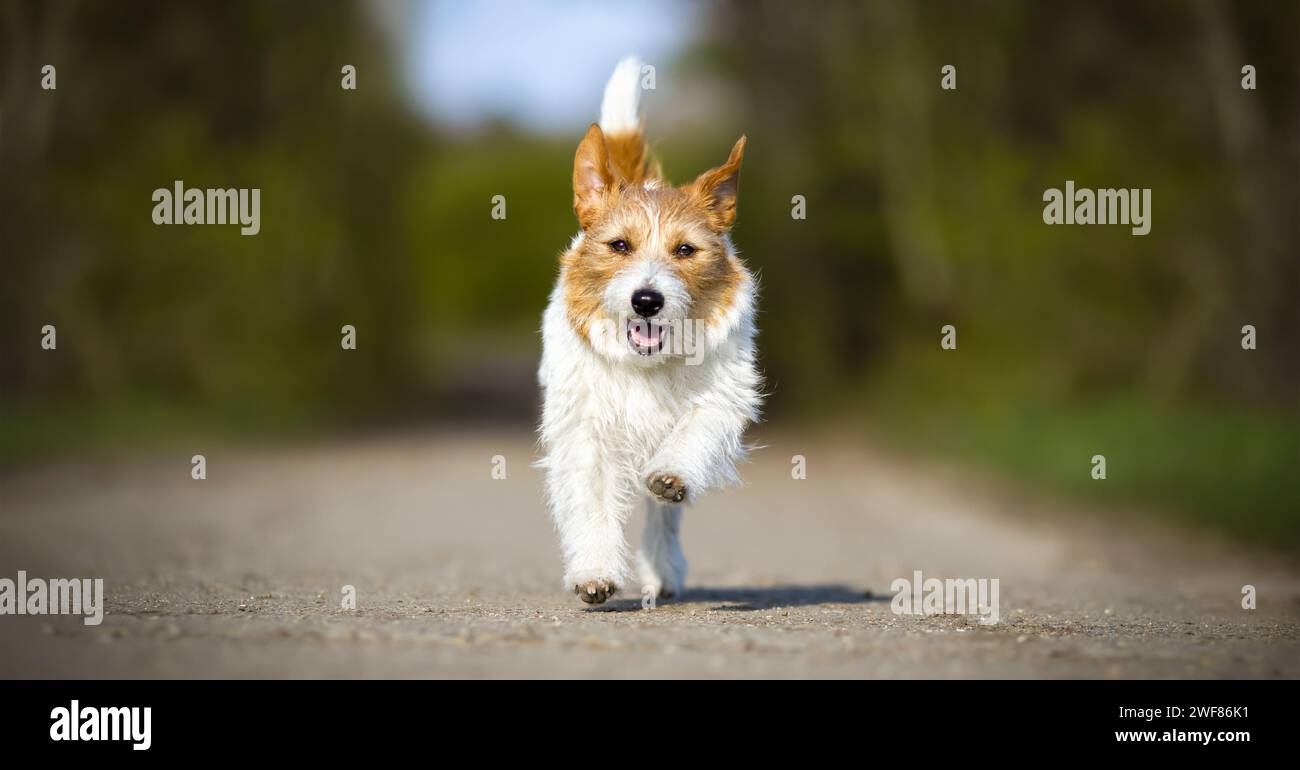 Funny hyperactivity hi-res stock photography and images - Alamy