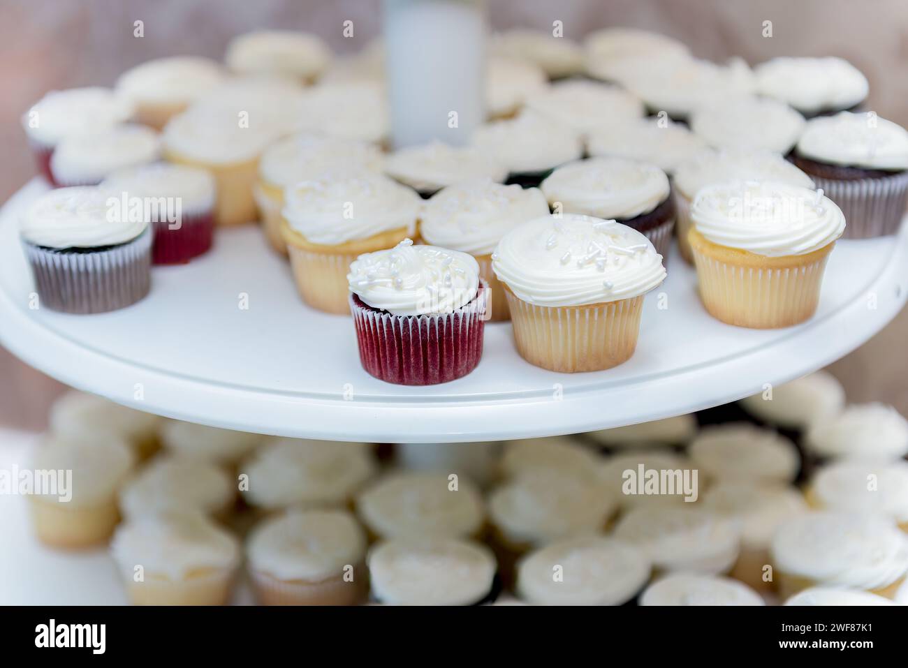 Tray cupcakes hi-res stock photography and images - Alamy