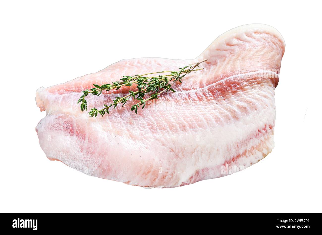 Raw fillet of white fish catfish Isolated on white background. Top view ...