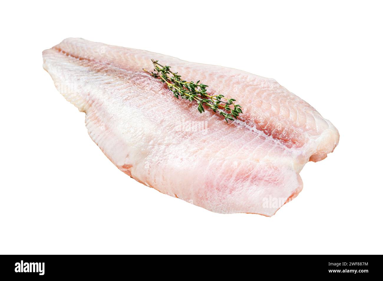 Raw fillet of white fish catfish. Isolated on white background. Top ...