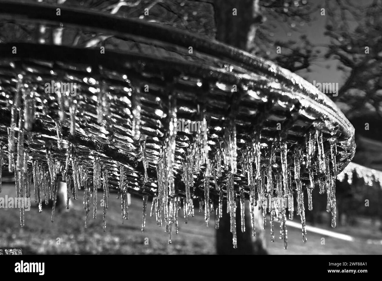 Icicle melting drip water Black and White Stock Photos & Images - Alamy