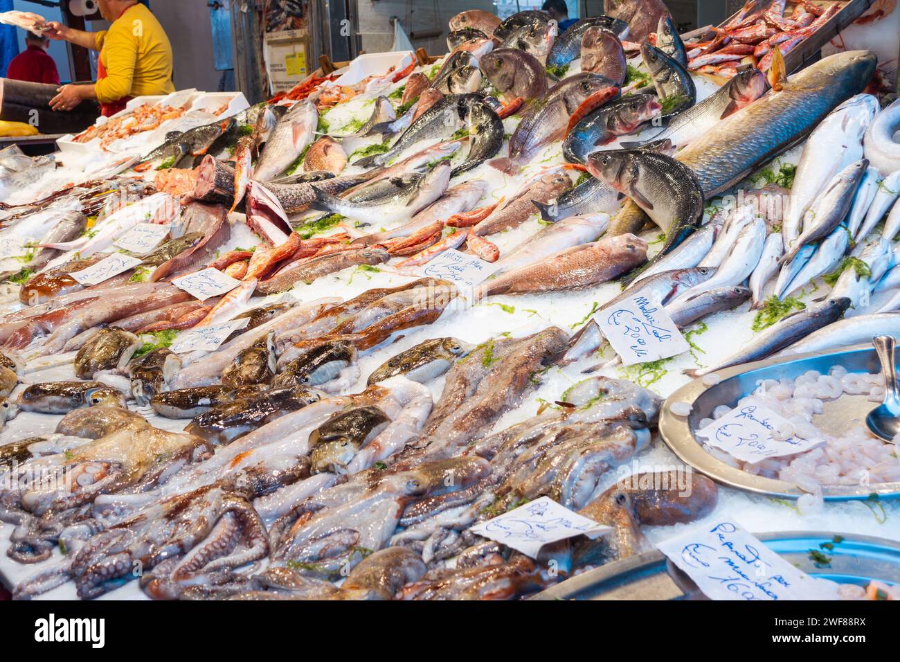 Fish market, Italy, Sicily. Mediterranean Stock Photo - Alamy