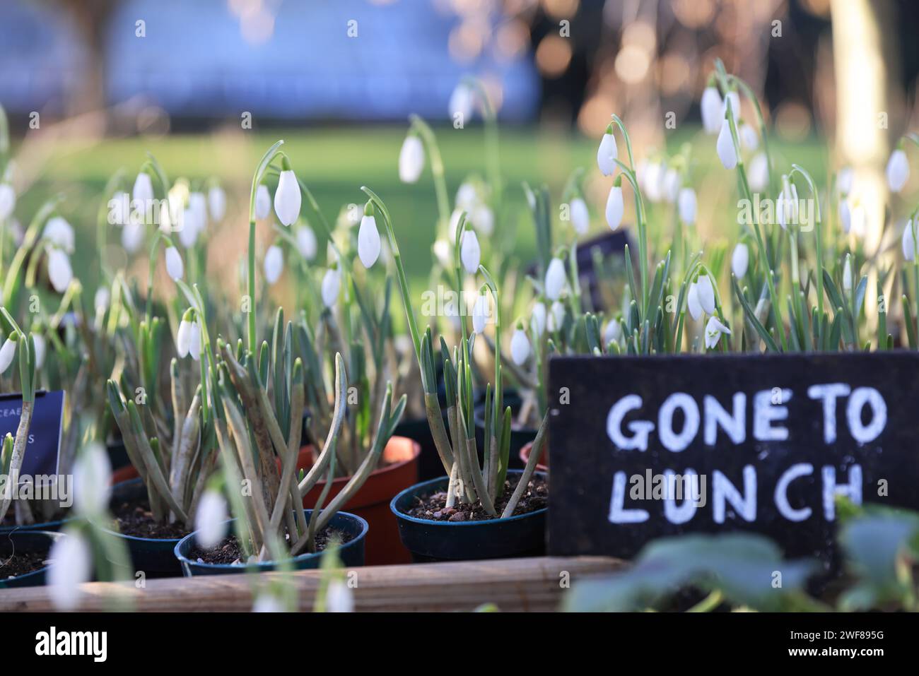 Best places to visit in london hi-res stock photography and images - Alamy