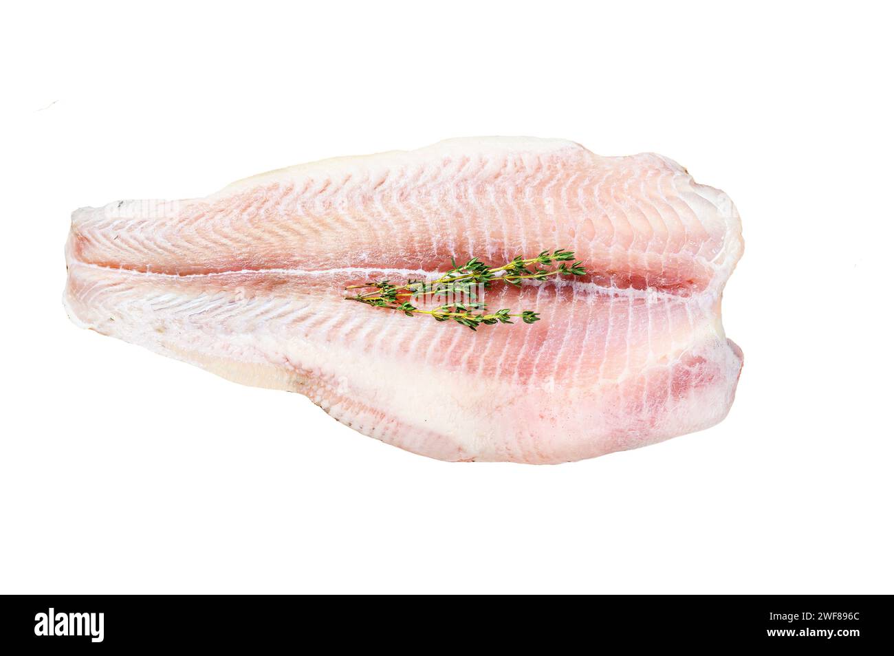 Raw fillet of white fish catfish. Isolated on white background. Top ...