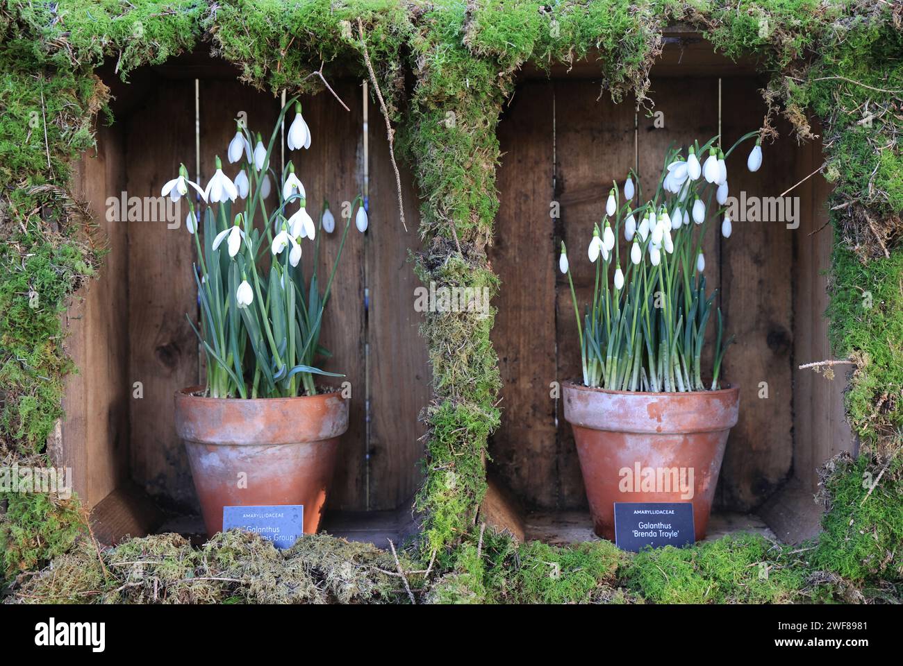 Best places to visit in london hi-res stock photography and images - Alamy