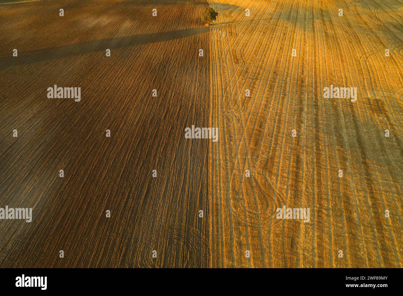 From above aerial view of sunset casting long shadows over a ...