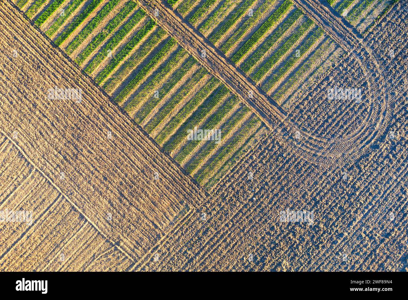 Top view of agricultural fields showing the intersection of different ...