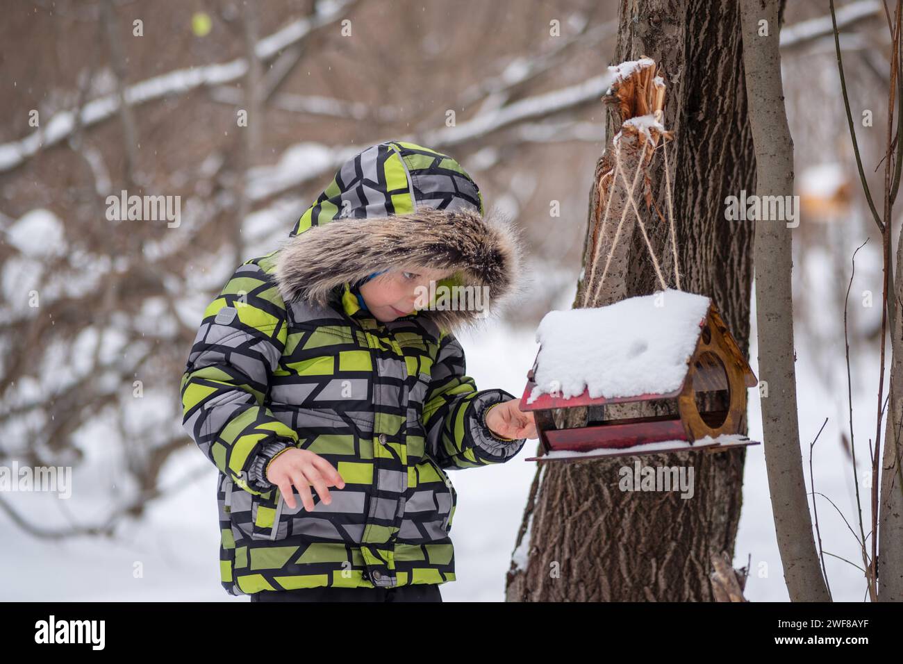 Birds using a bird feeder hi-res stock photography and images - Alamy