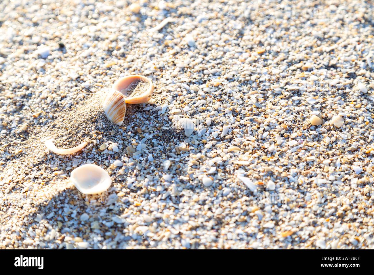 Detailed sand texture hi-res stock photography and images - Alamy
