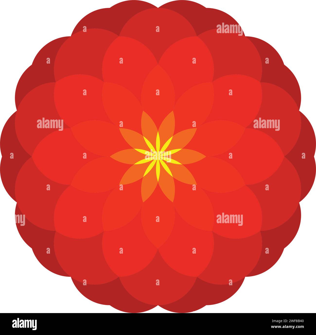 Marigold flower vector Stock Vector Images - Alamy