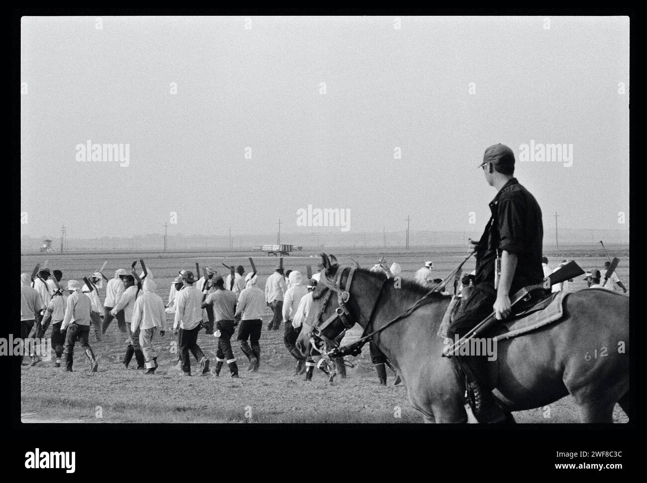 This 2004 photo shows a line boss on horseback monitoring prison ...